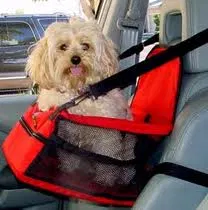 Pet Accessories For Your Car | Hamilton Auto Blog